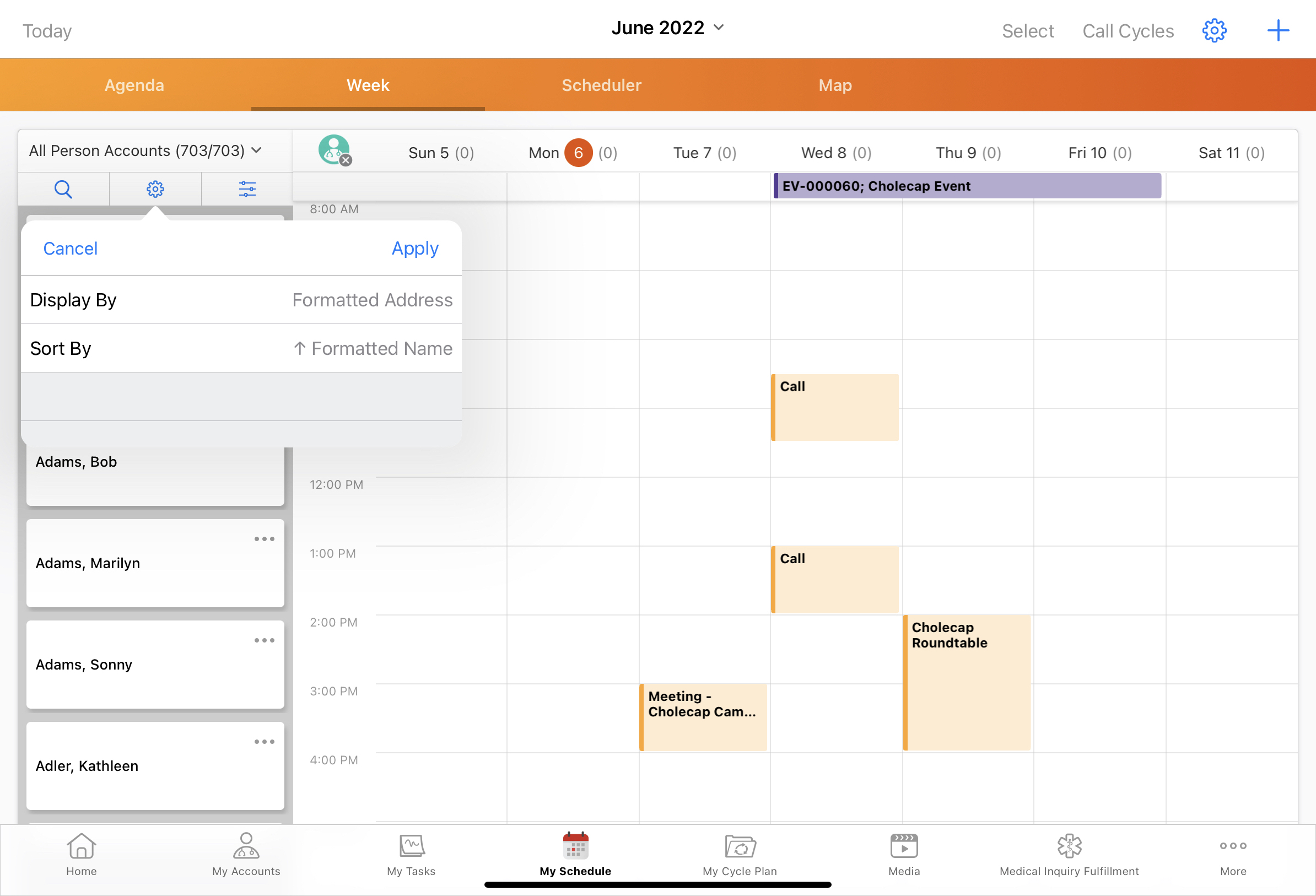 Weekly Schedule View with Filtered Accounts and Settings | Veeva ...